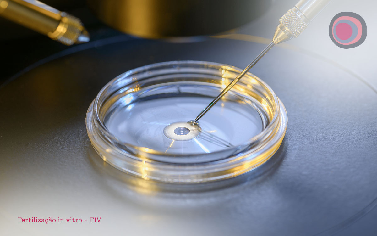 » Menacme: o que é e qual a relação com a fertilidade?