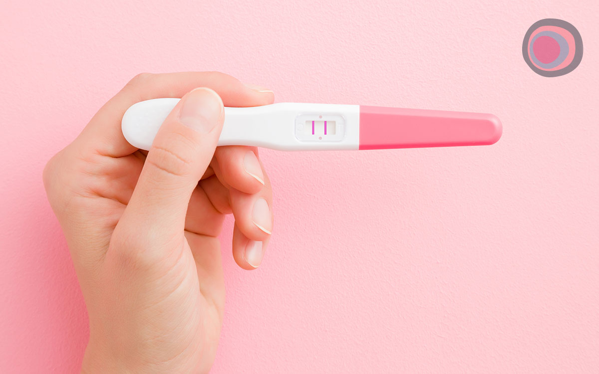 » Óvulos: o que são?