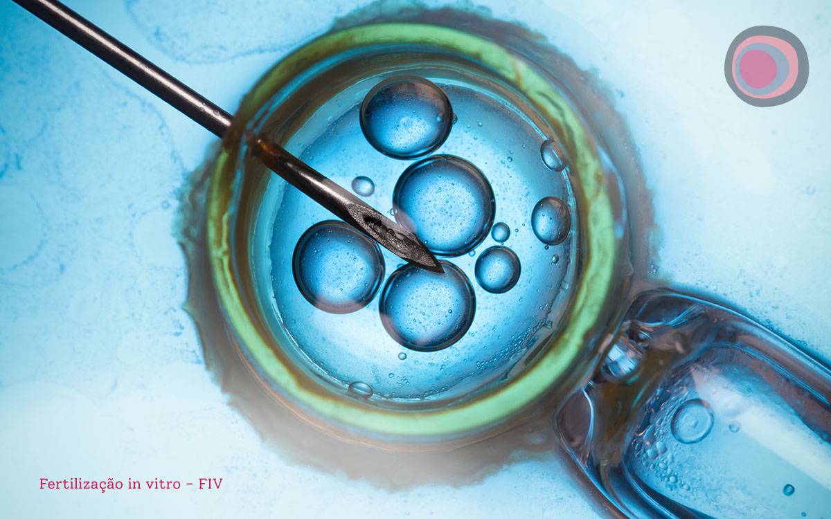 » O que é hipotálamo e qual sua função na fertilidade?