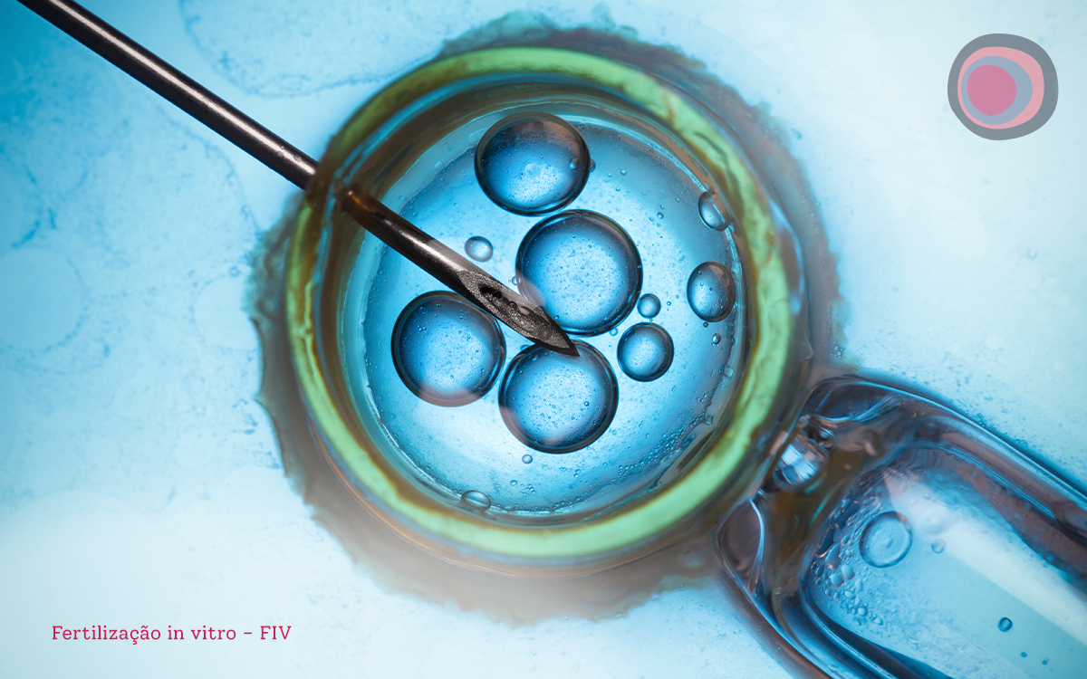 » PGT: conheça todos os tipos e sua relação com a FIV e com a genética